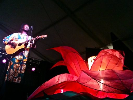 About Tichawona Noble Mashawa - Tichawona Noble Mashawa